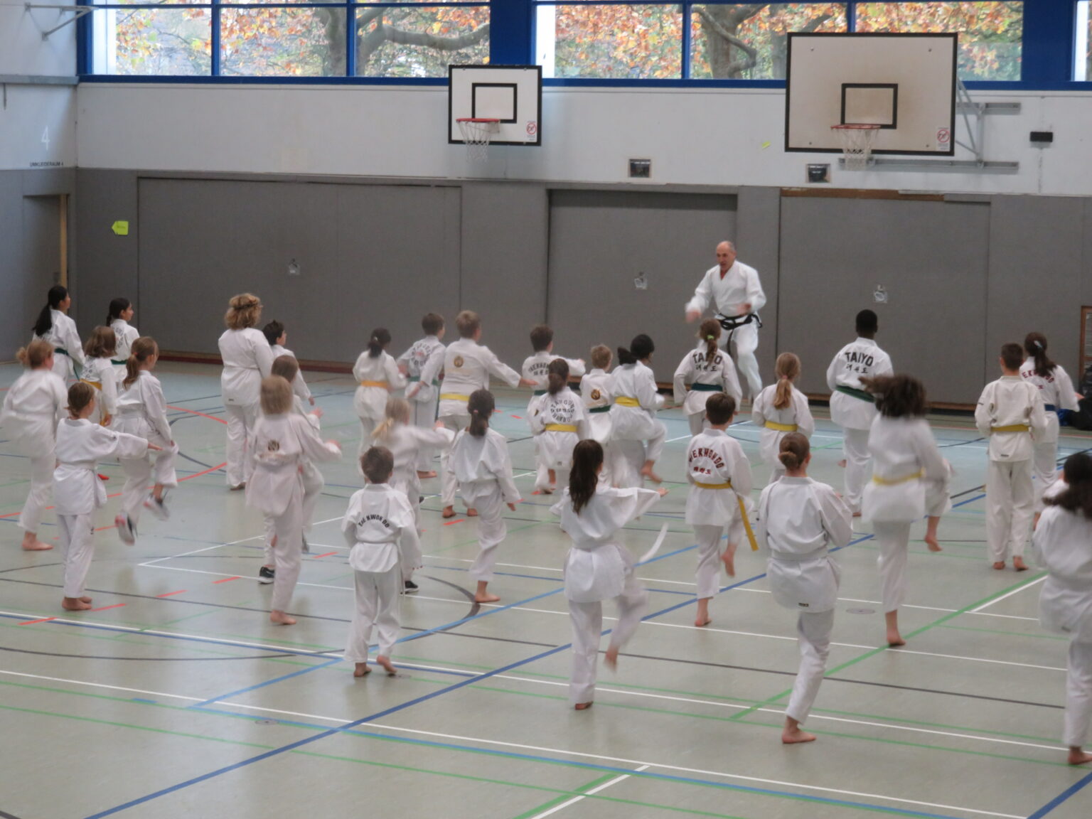 Größter Breitensportlehrgang in Hamburg seit mehr als 10 Jahren - TANGUN